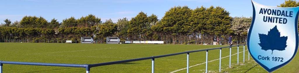 Avondale Park, home to Avondale United, Avondale United Juniors ...