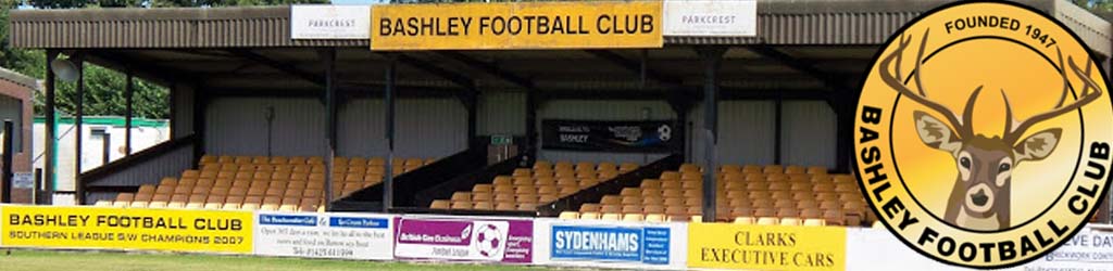 Bashley Road, home to Bashley - Football Ground Map