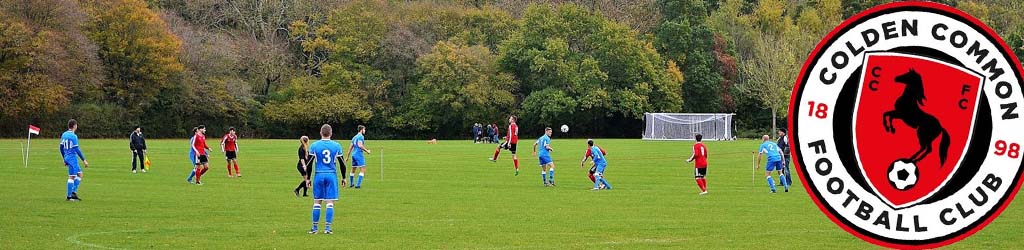 Colden Common Park, former home to Colden Common - Football Ground Map