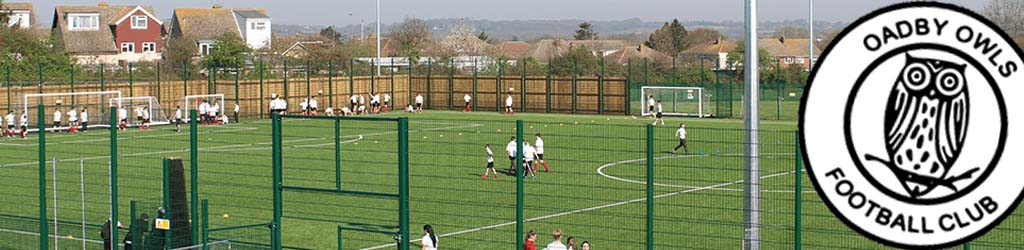 Beauchamp College 3G, home to Oadby Owls - Football Ground Map