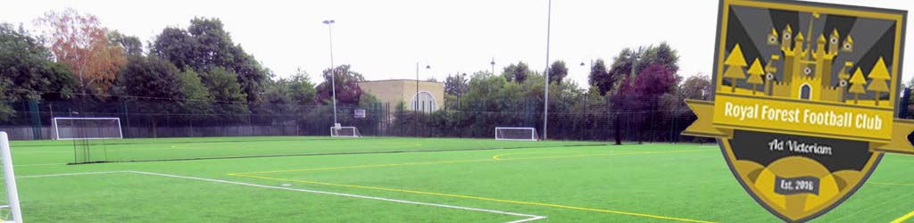Roding Valley High School, home to Royal Forest FC - Football Ground Map