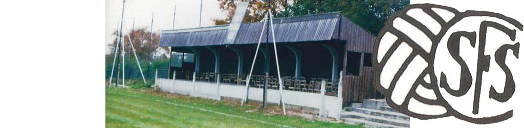 Birch Lawn Ground, home to Sholing Sports - Football Ground Map