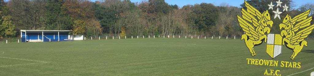 Bush Park, home to Treowen Stars - Football Ground Map
